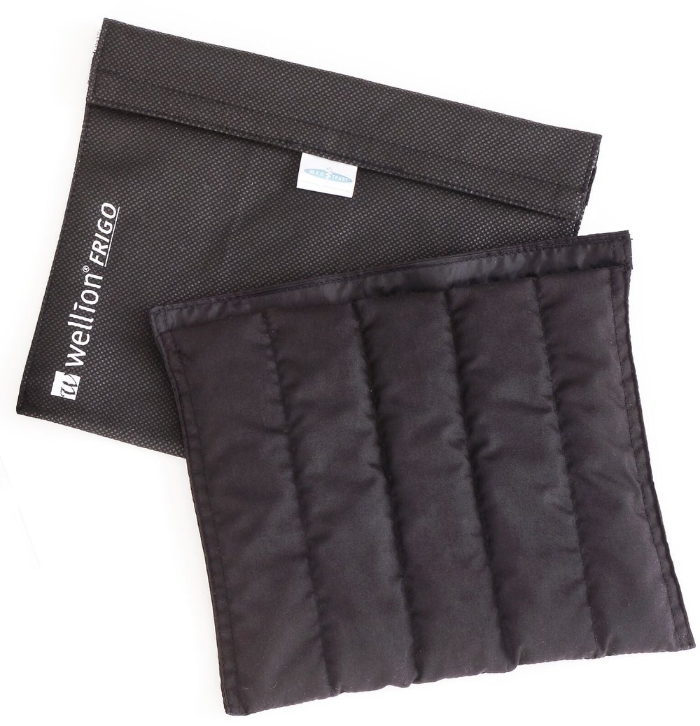 Köp Wellion FRIGO Cooling Bag XXL Svart 1 st | Apohem
