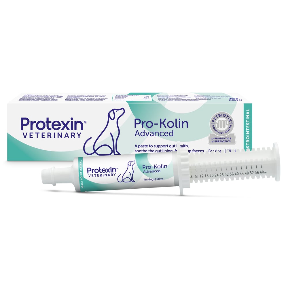 Köp Protexin Pro-Kolin Advanced Hund 60 ml | Apohem